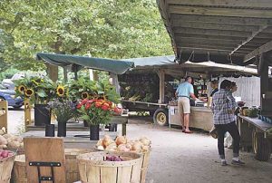 Pike Farm - Country Culture