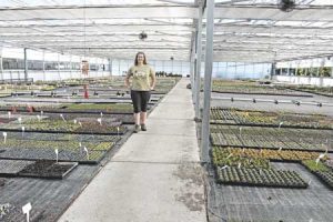 Nursery incorporates technology to increase efficiency - Country Culture