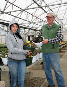 The grand green work at Andrew’s Greenhouses - Country Culture
