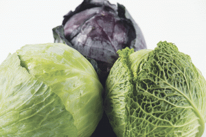 Cole crop appreciation post: Cabbage - Country Culture