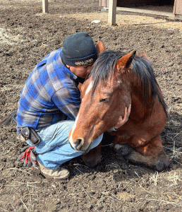 Horse Tales: 13 Hands Equine Rescue - Country Culture