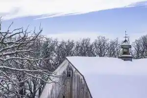 Time to think about barn roof safety - Country Culture