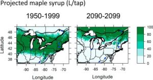 Maybe maple: Weathering a changing climate & syrup production - Country ...