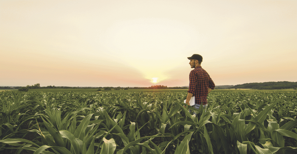 CCCD hosts Land & Community Track at 2024 Radically Rural Summit ...