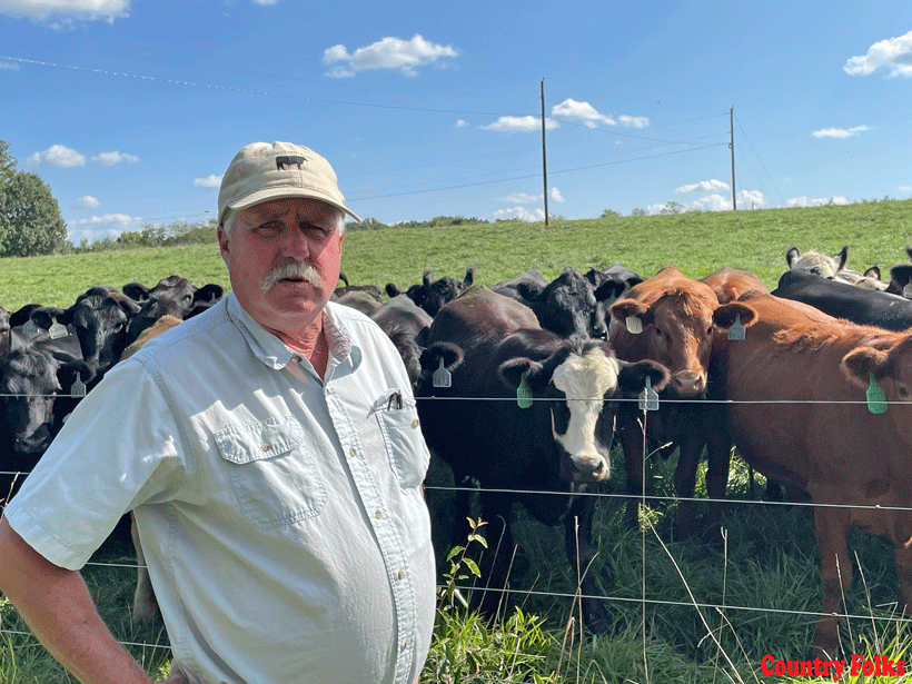Breeding composite animals is Tucker’s passion - Country Culture