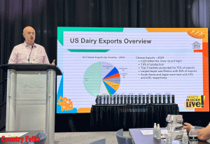 Not dairy drama, but dairy discipline - Country Culture
