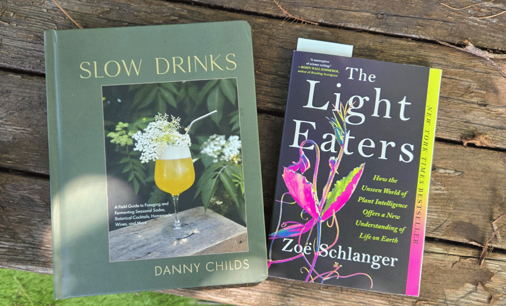 Balmy escapism: What’s on your summer reading list? - Country Culture