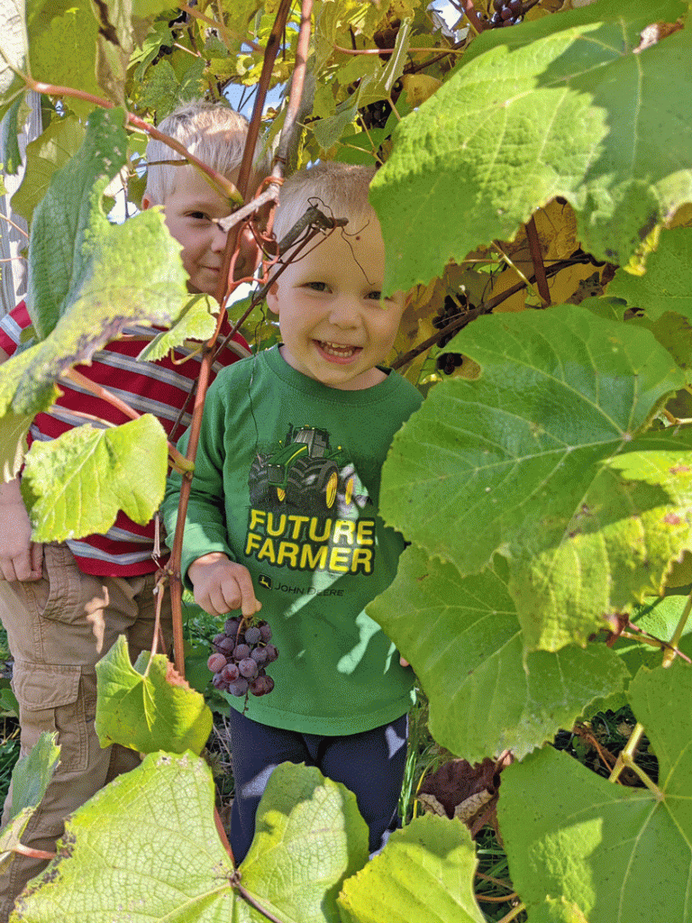 Choose-your-own-adventure at Ransom Sage Farm - Country Culture