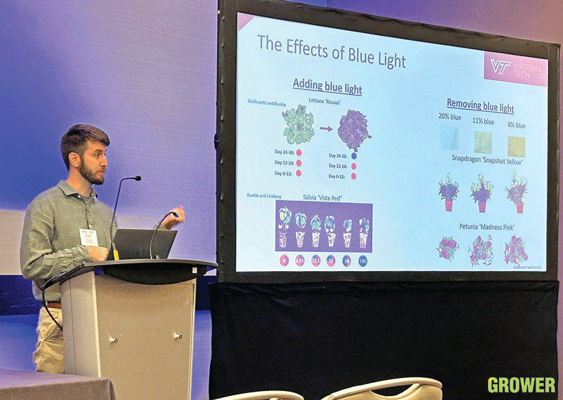 One shade, two shade, red shade, blue shade - Country Culture