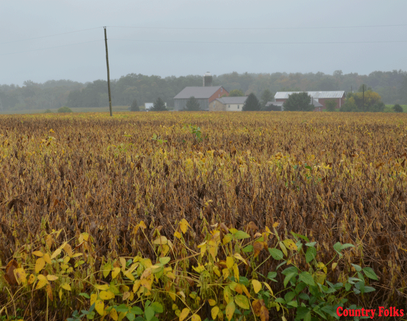 Plan ahead for farm protection programs - Country Culture