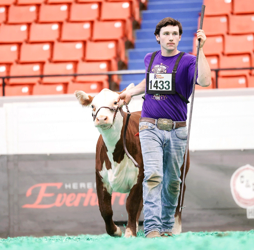 Bofat Hill Farm: Winners all - Country Culture