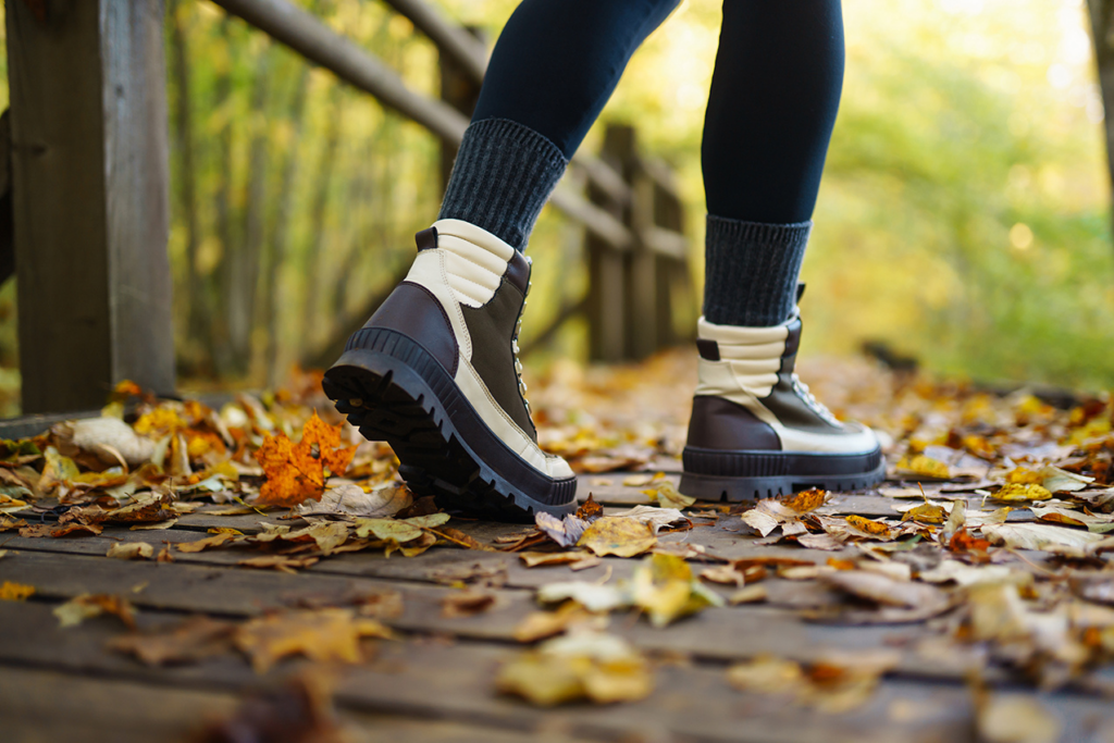 Data center basics - Country Culture