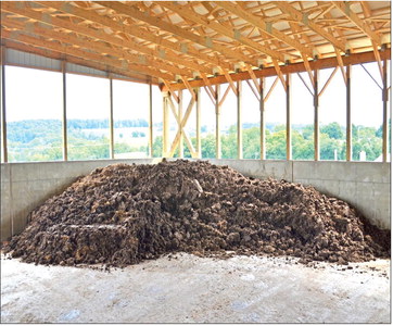 Cows don’t stop pooping - Country Culture