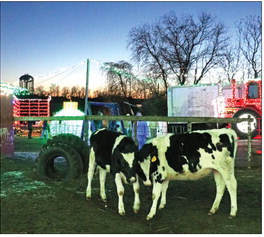 McCray’s Light Stroll shines bright in memories - Country Culture