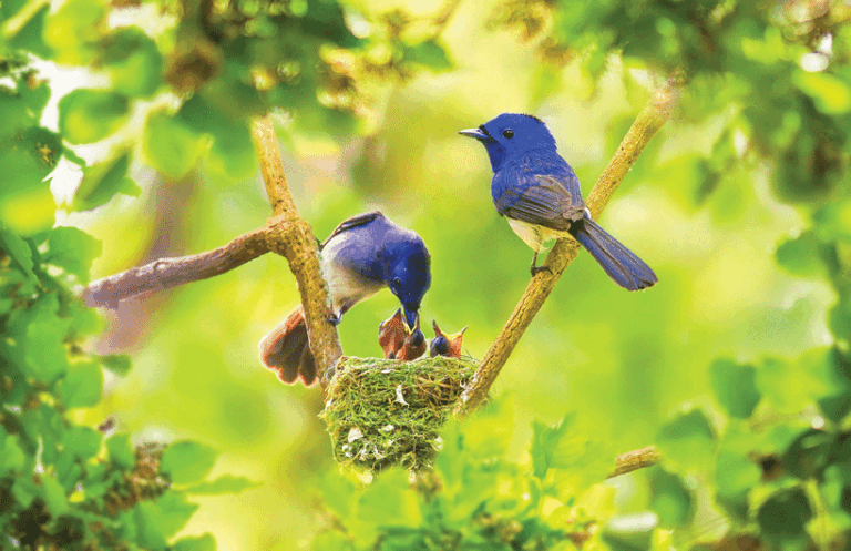 Tough but necessary - Country Culture